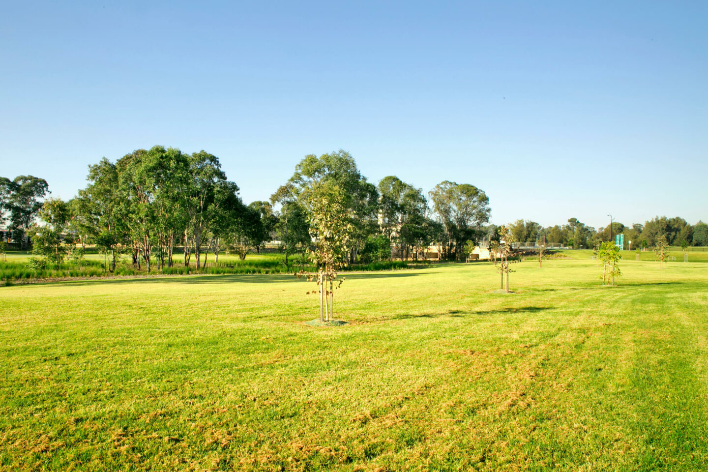 Sydney Business Park